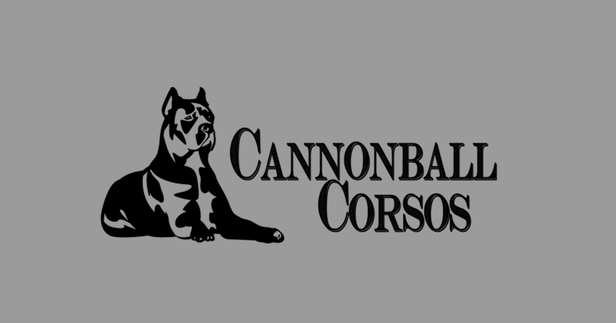 Home [cannonballcorsos.com]